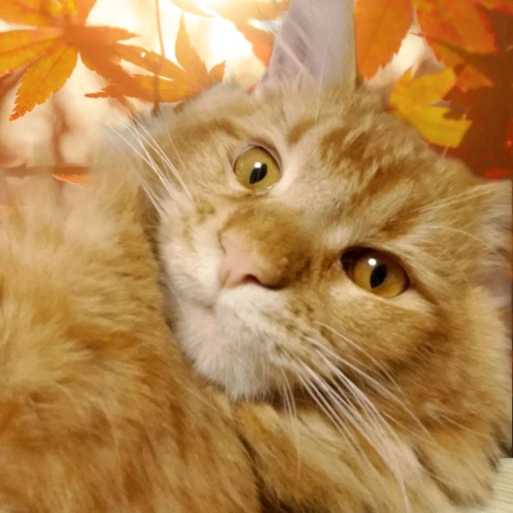 Иконка канала Пушистик