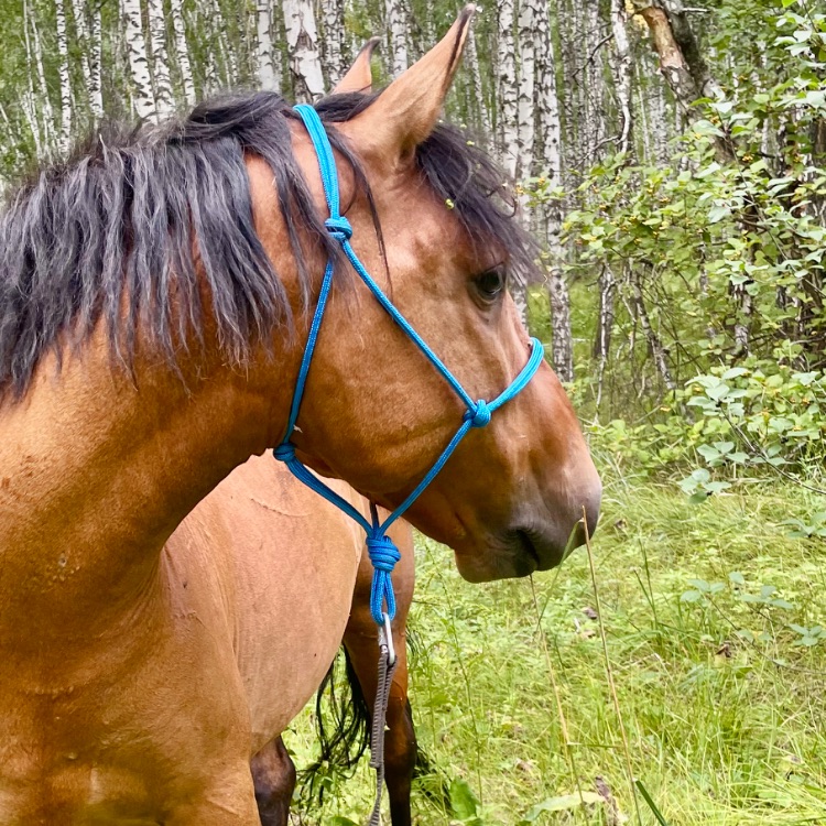 Иконка канала Reshmel