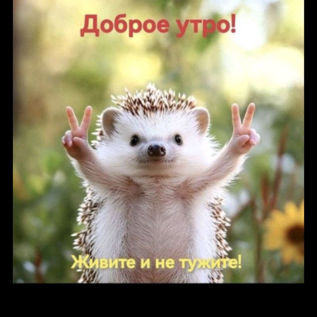 Иконка канала БОРОКОТ