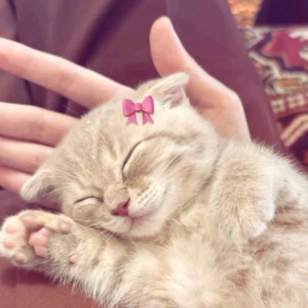 Иконка канала Вероника😘