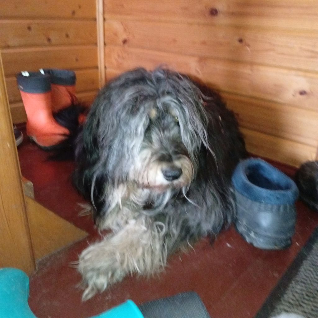 Иконка канала Алексей и Шарлотта