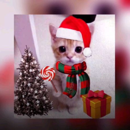 Иконка канала PAEDOITO