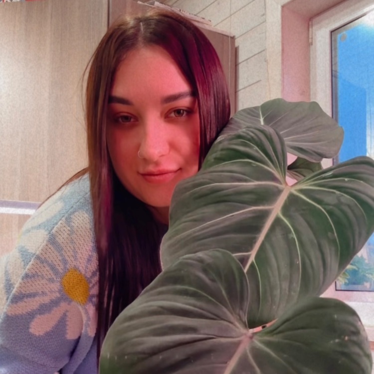 Иконка канала Ef.plants