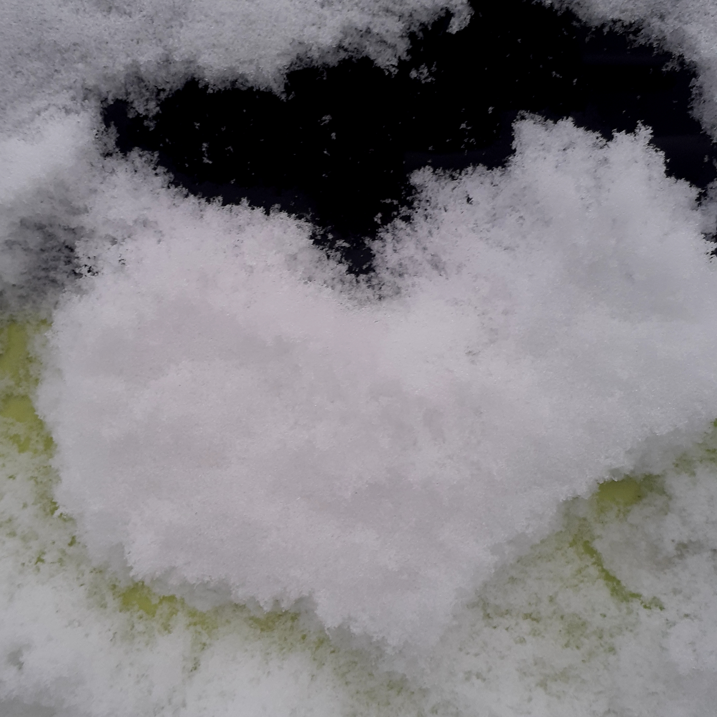 Иконка канала Лиза  и все остольное