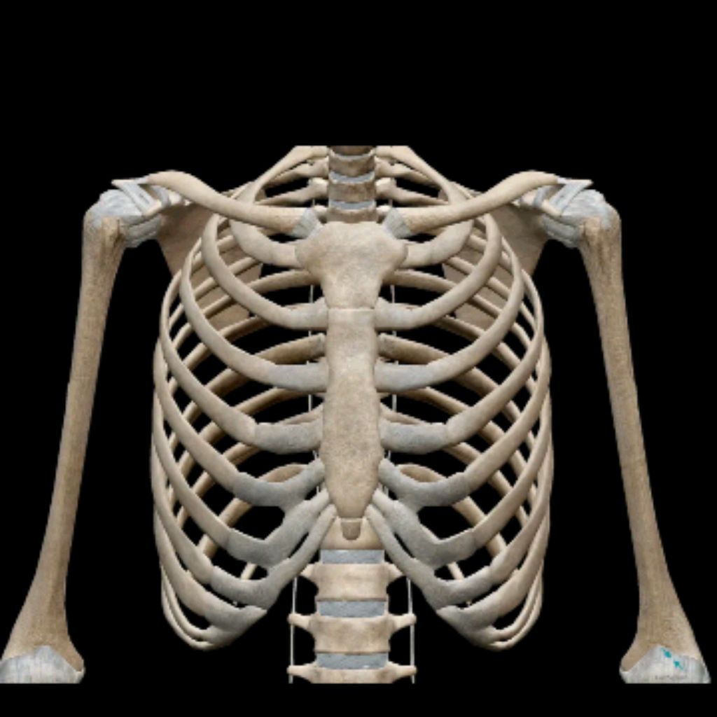 Иконка канала ВАНЁК NATURAL