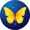 Иконка канала Жёлтая бабочка