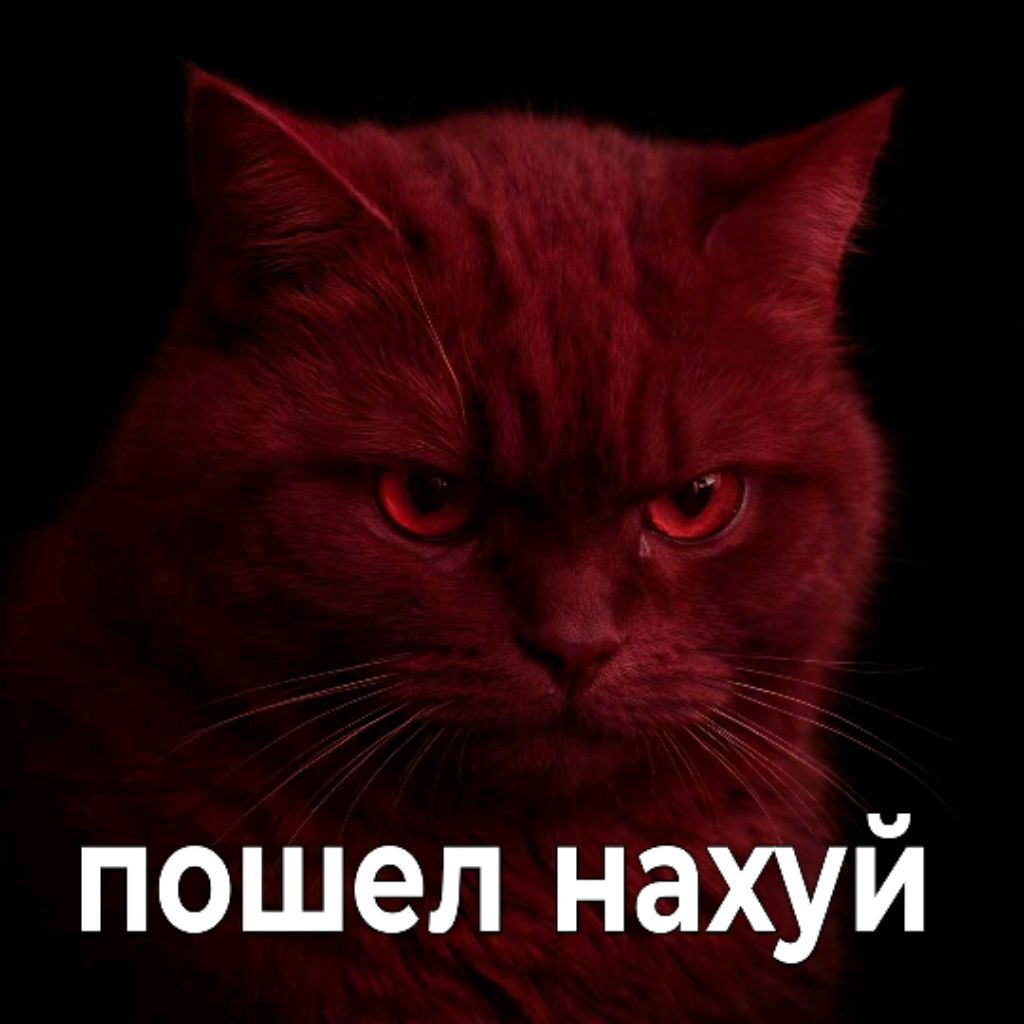 Иконка канала ДАНЕК ДЕНЁК