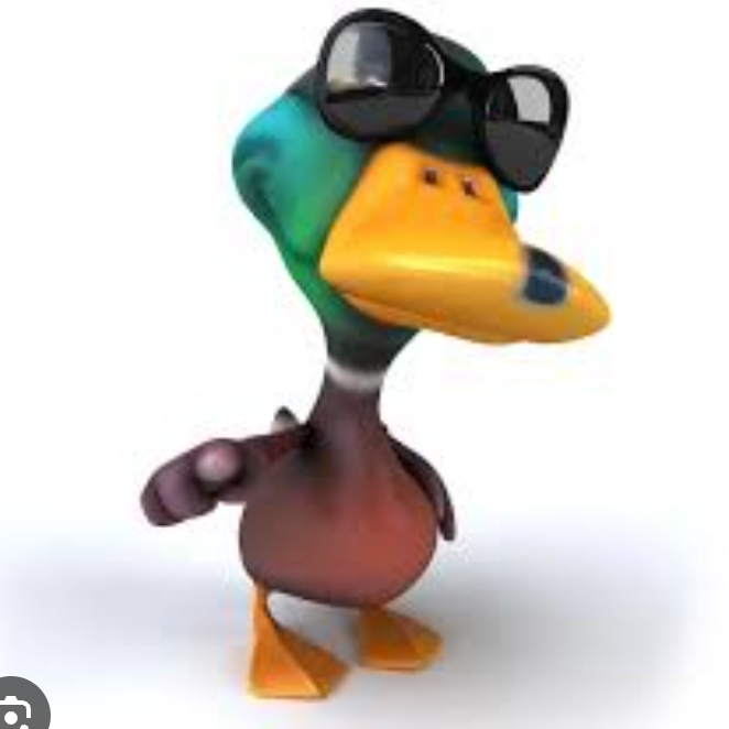 Иконка канала утка 441