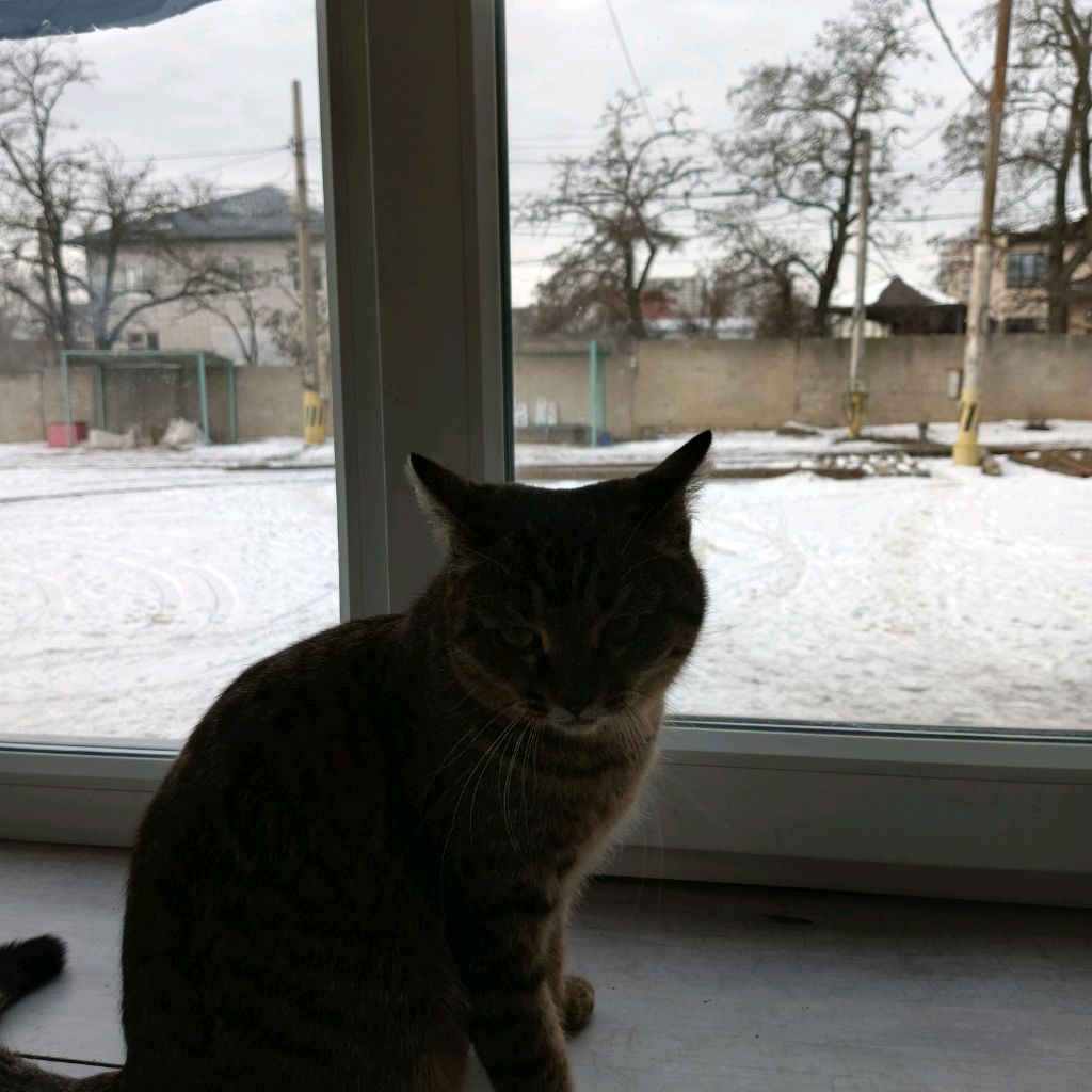 Иконка канала Alex & КОМПАНИЯ;-)