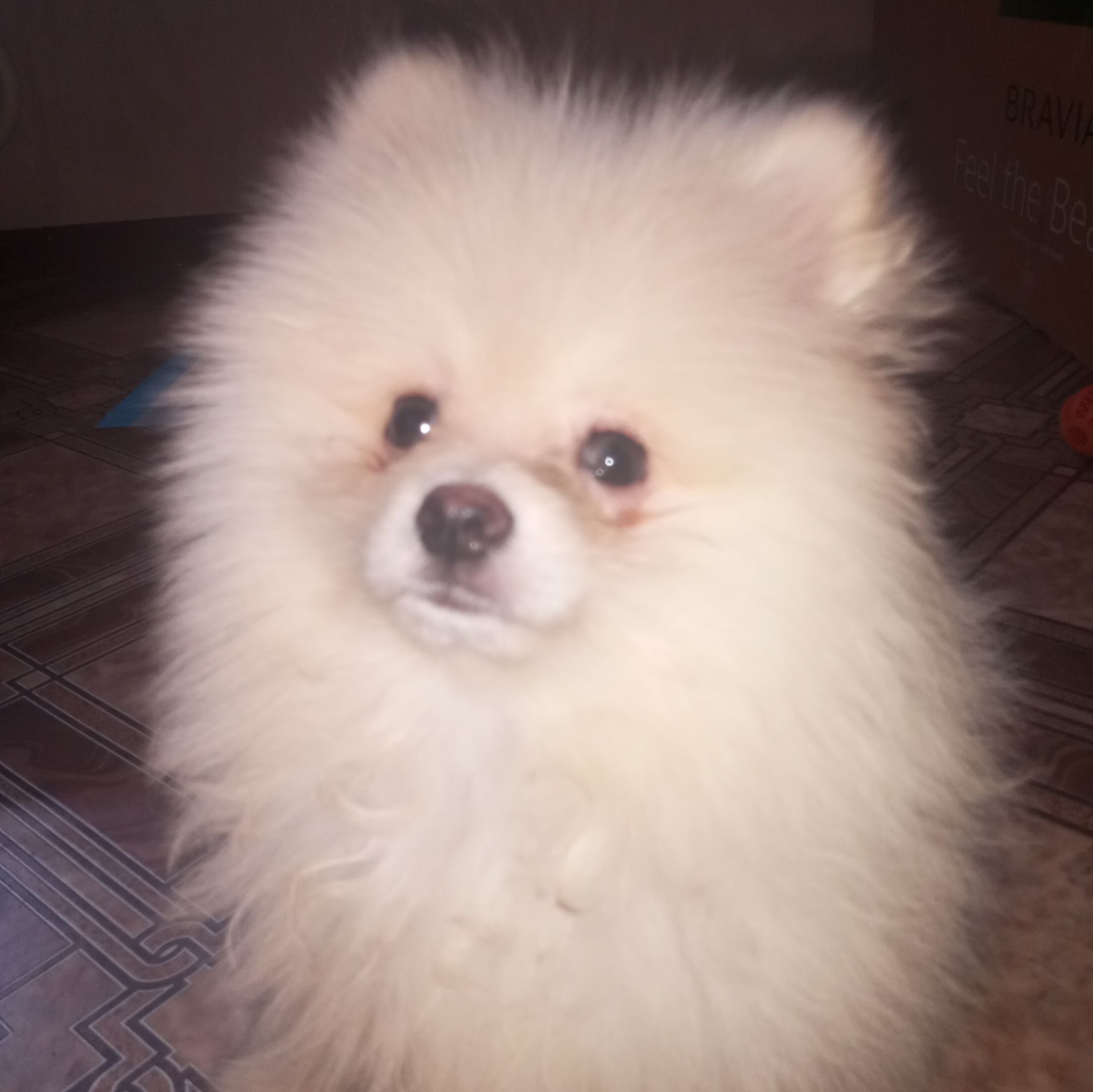 Иконка канала Ованнес про 999x мемы смешные!