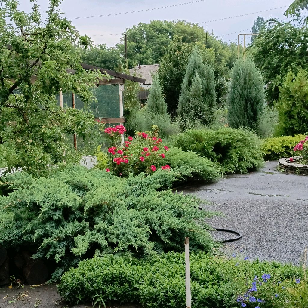 Иконка канала просто о всём