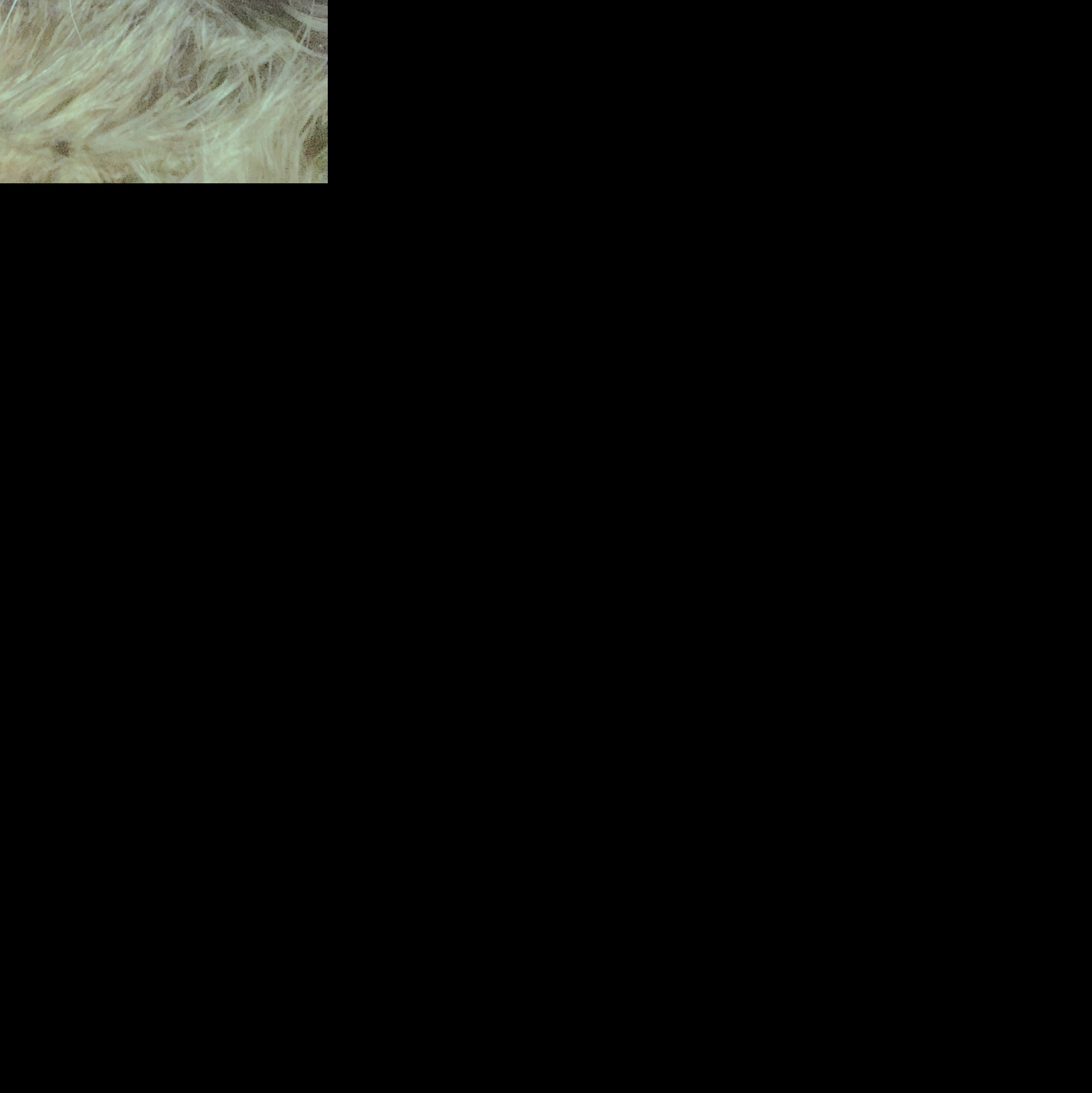 Иконка канала spawn Danny