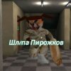 Иконка канала Шлёпа Пирожков