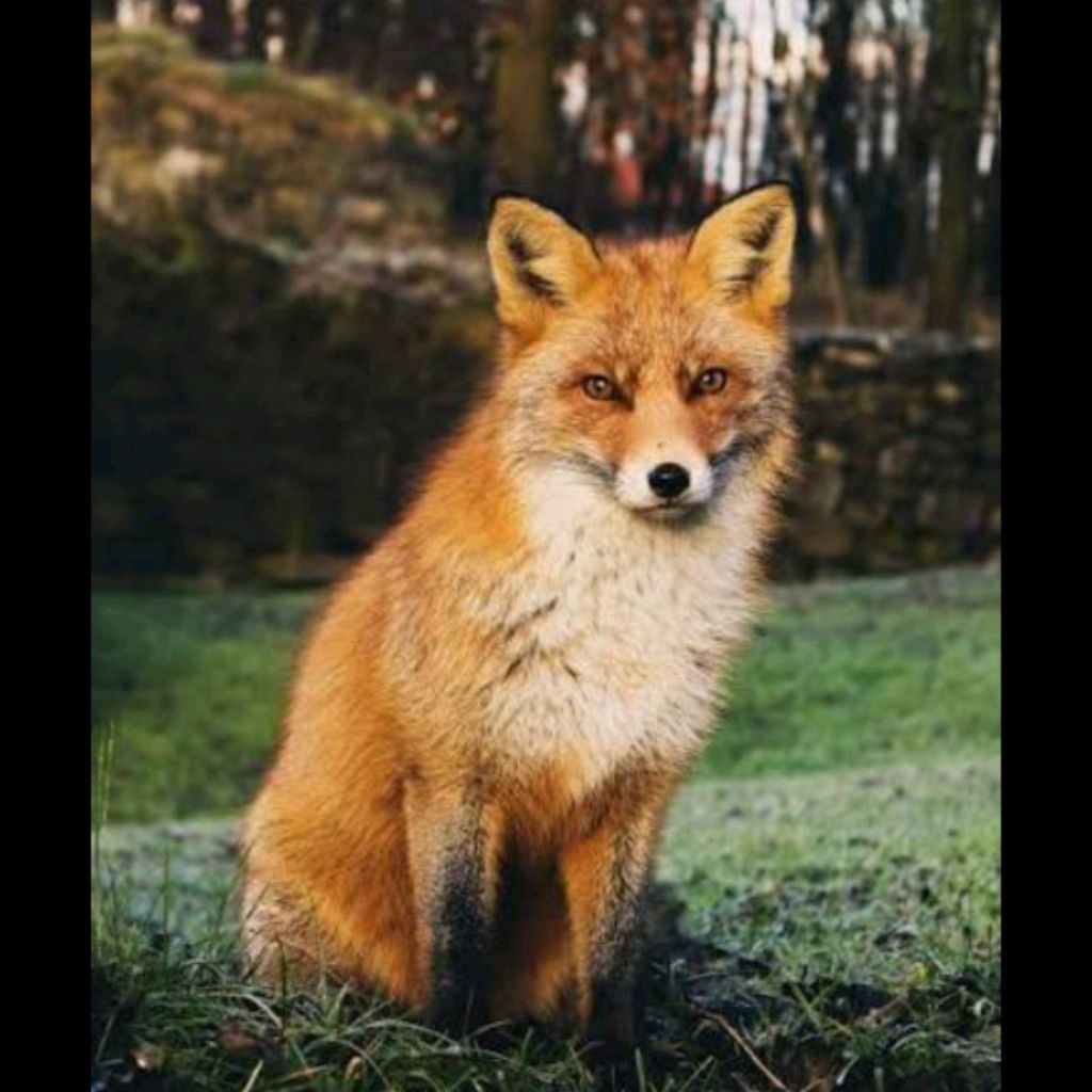 Иконка канала Lenusik2704