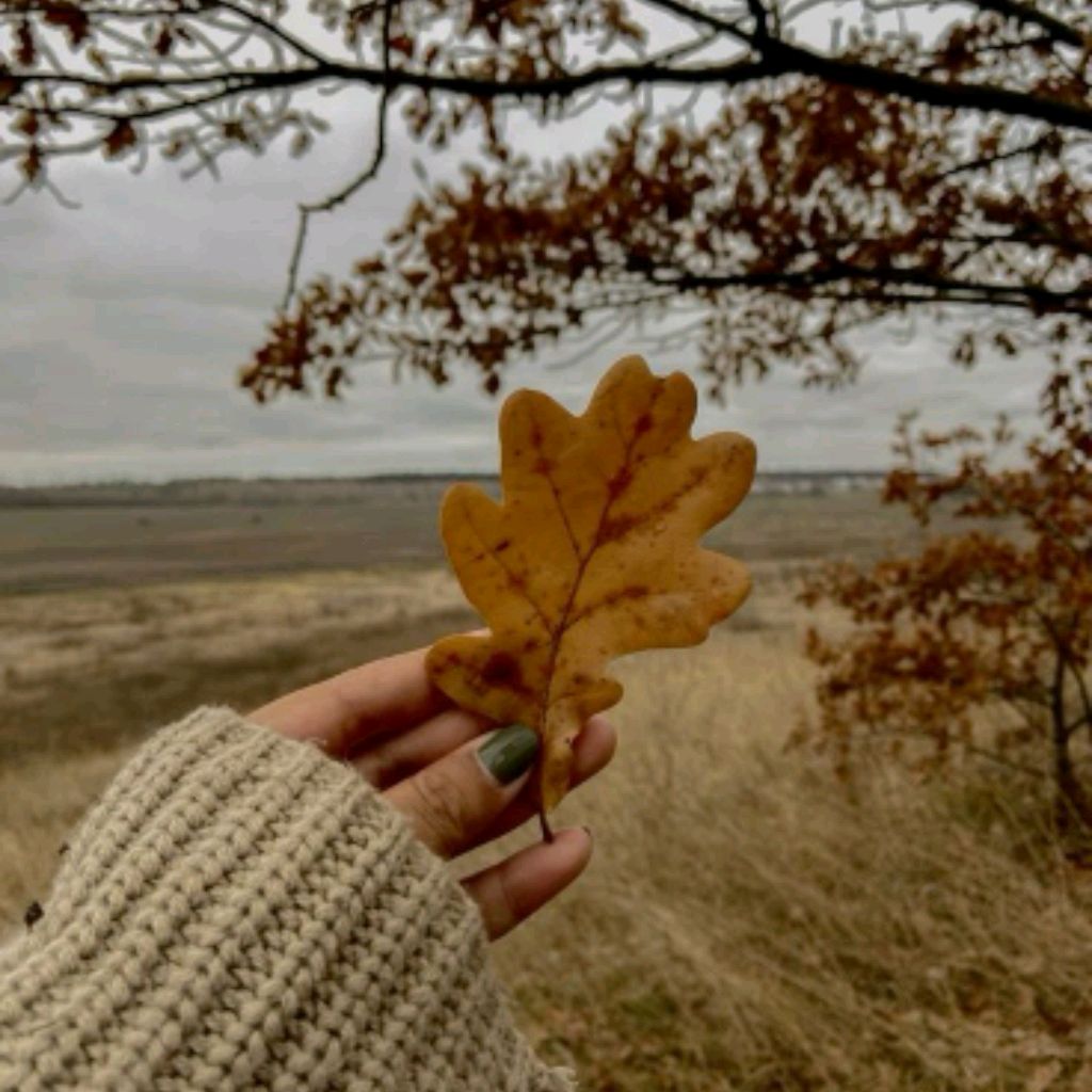 Иконка канала Arina-stor🌜🌛