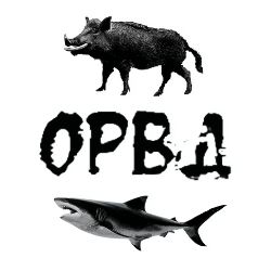 Иконка канала ORVD