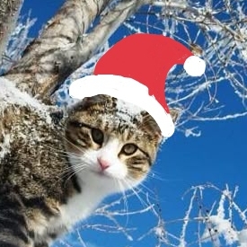 Иконка канала 🎄⟨зимний😼кэтик⟩🎄