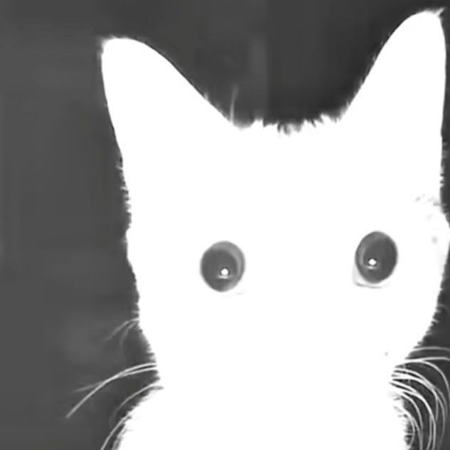 Иконка канала ПЕРЕЗАЛИВЫЧ