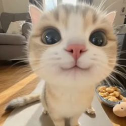 Иконка канала Выбор души