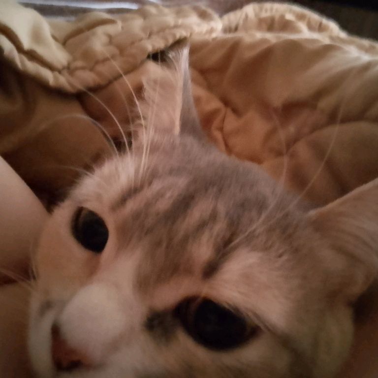 Иконка канала Ivan_RT