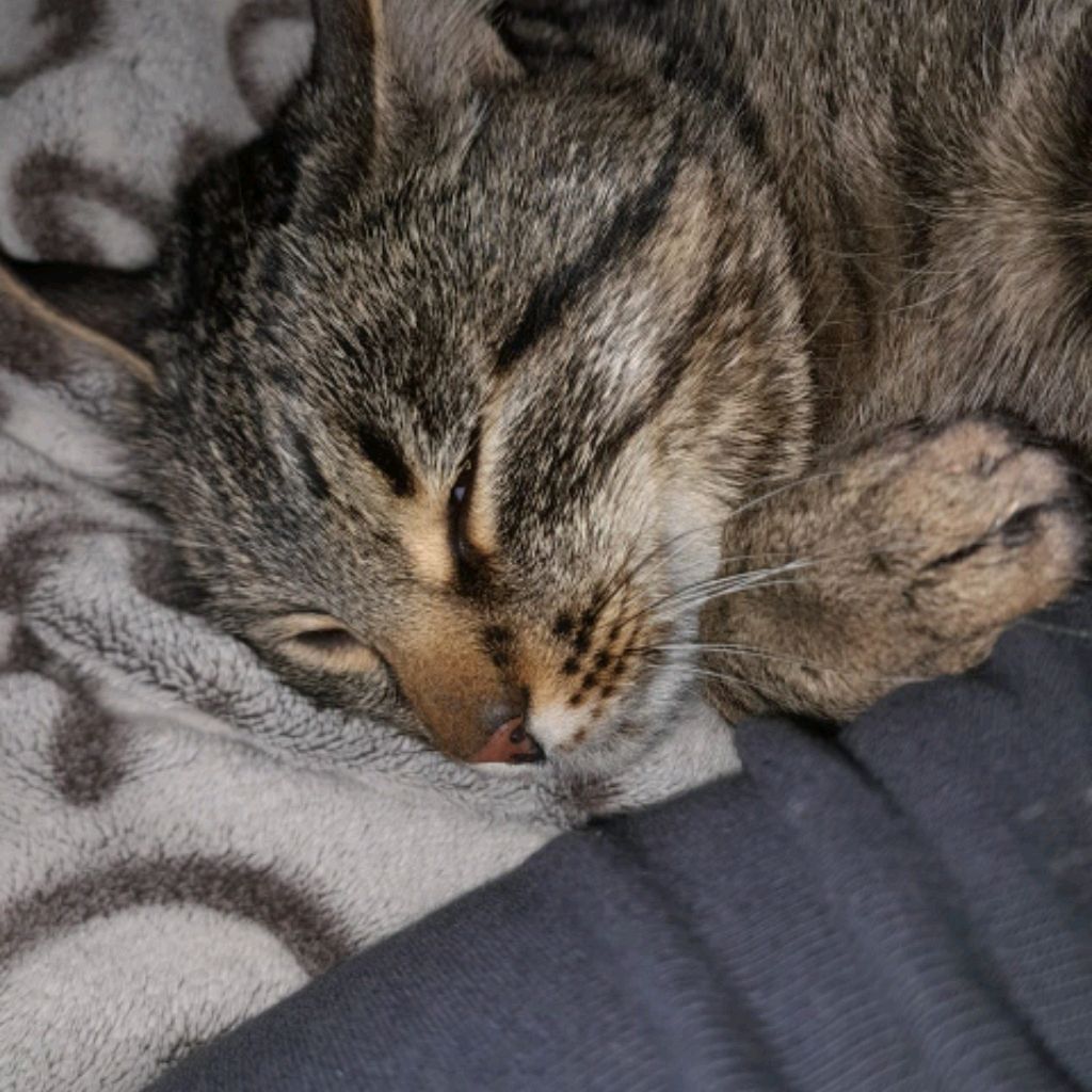 Иконка канала channel73197623