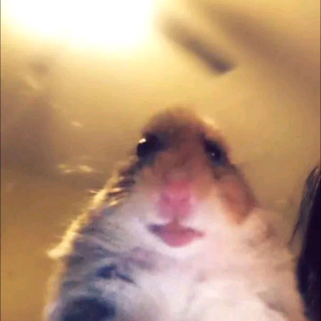 Иконка канала ПУП Тимур