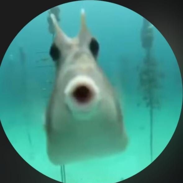 Иконка канала w1rtikos