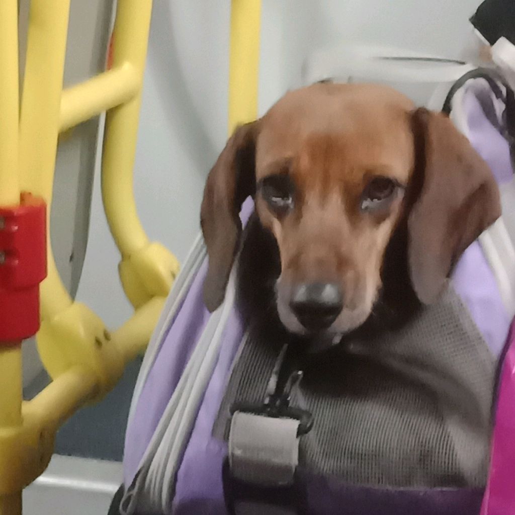 Иконка канала Я Люблю Tумку!☺