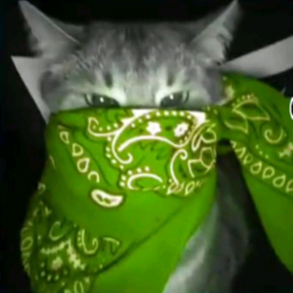 Иконка канала Кот в пальто