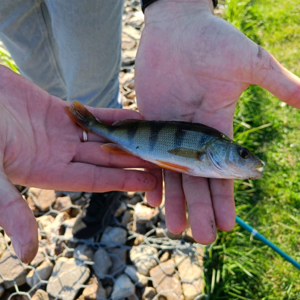 Иконка канала Рыбак России Егор