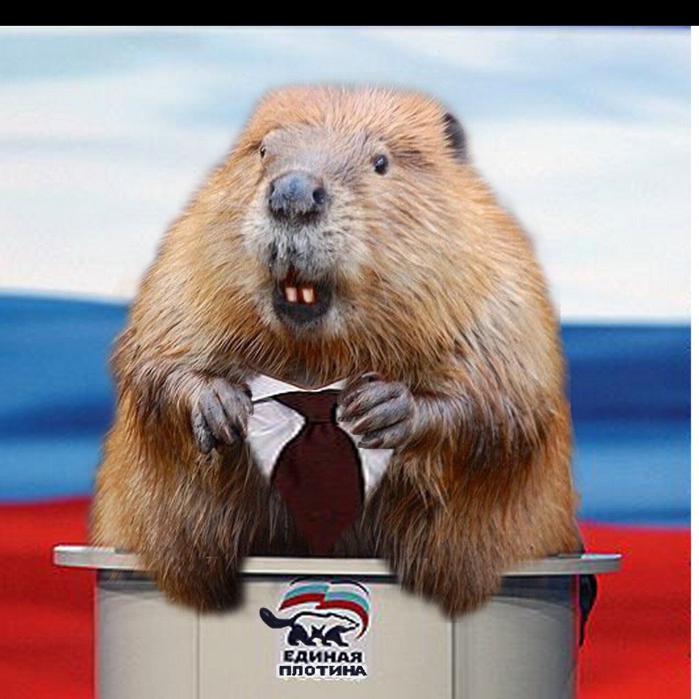 Иконка канала Boberik_228