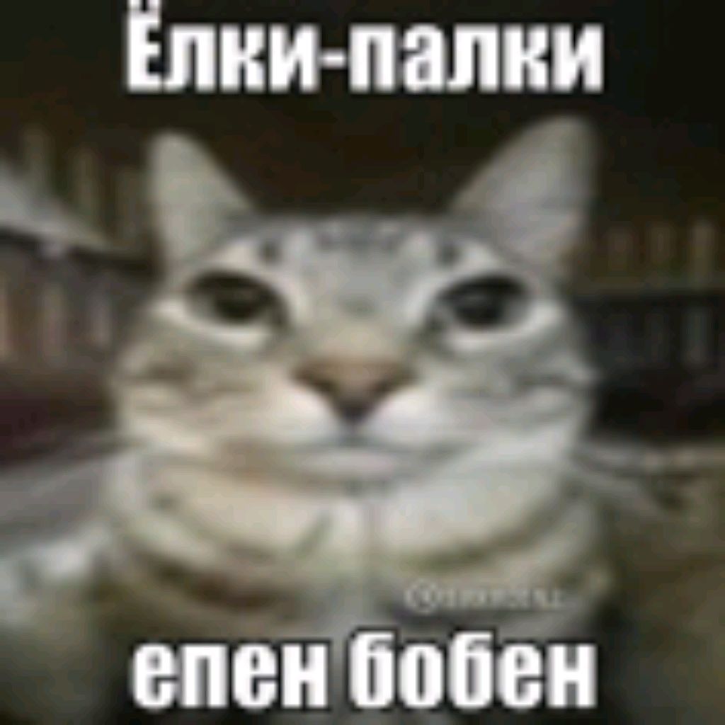 Иконка канала Babuin