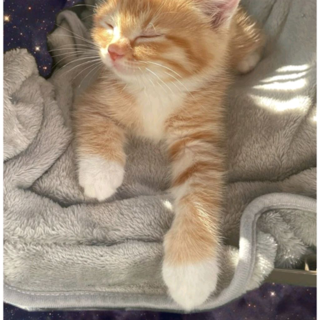 Иконка канала Вика