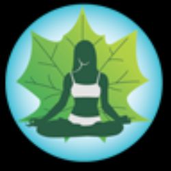 Иконка канала ShopSante