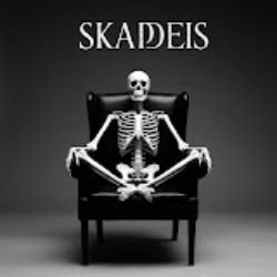 Иконка канала SKAIDEIS