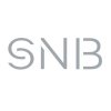 Иконка канала SNB_expert