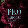 Иконка канала PROЦветы