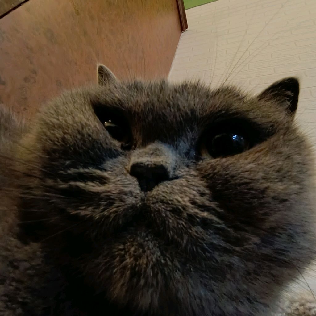 Иконка канала Село на СВЯЗИ!!!