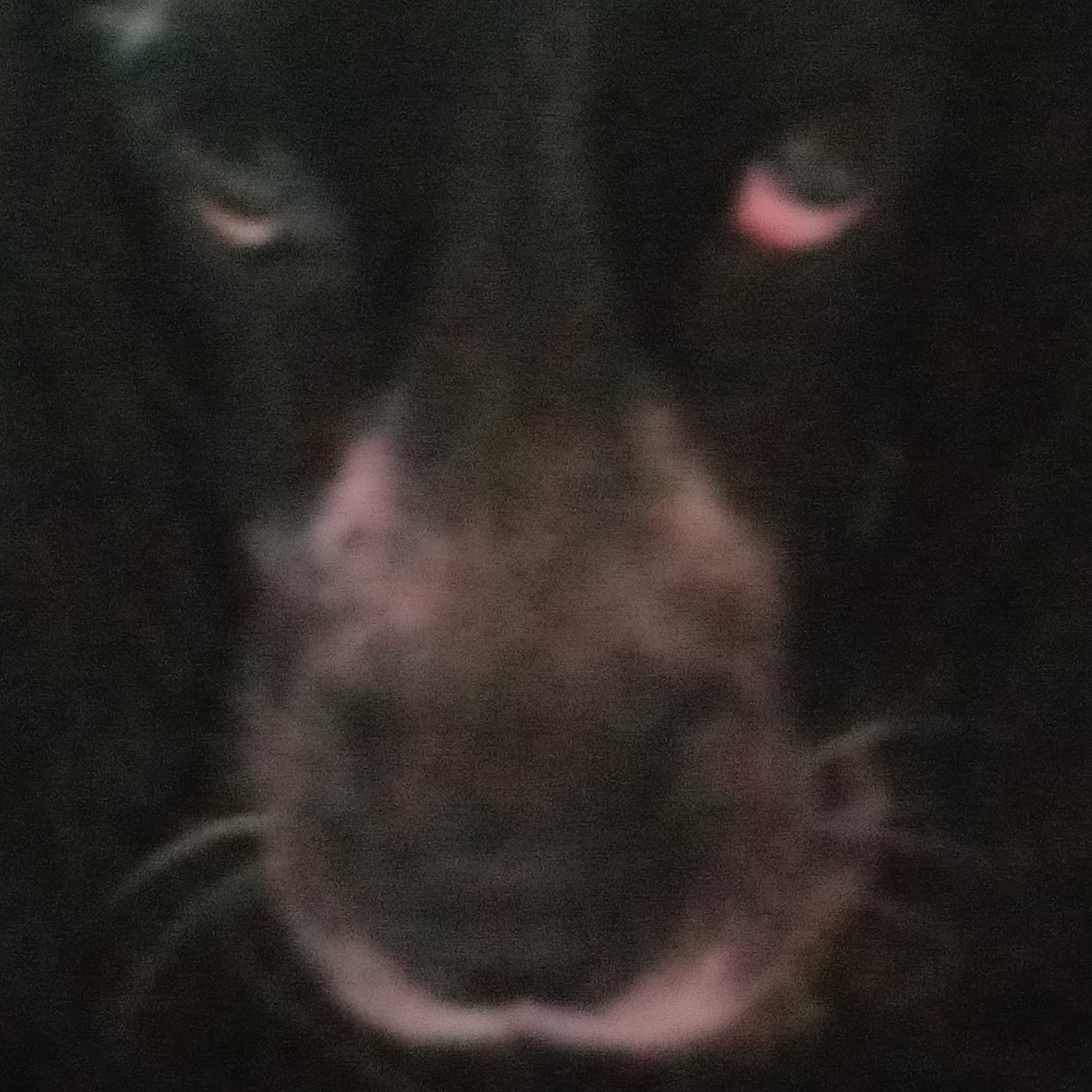 Иконка канала КОСТЯ И ДАНЯ И ДРУГ