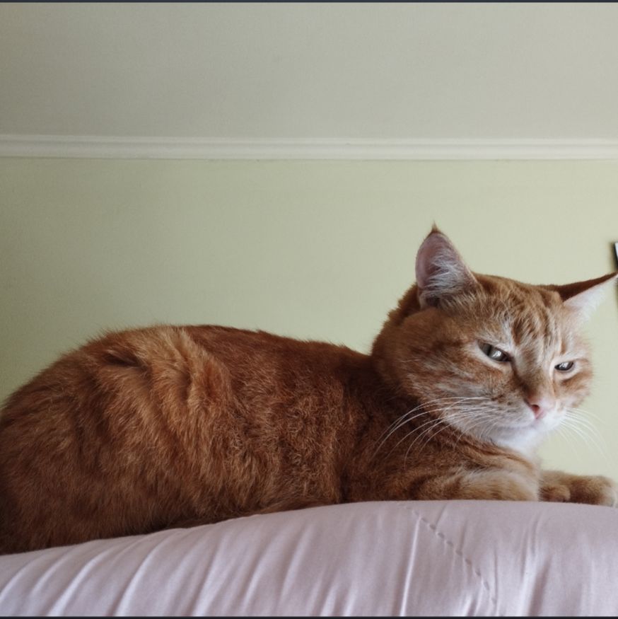 Иконка канала История одного висельника