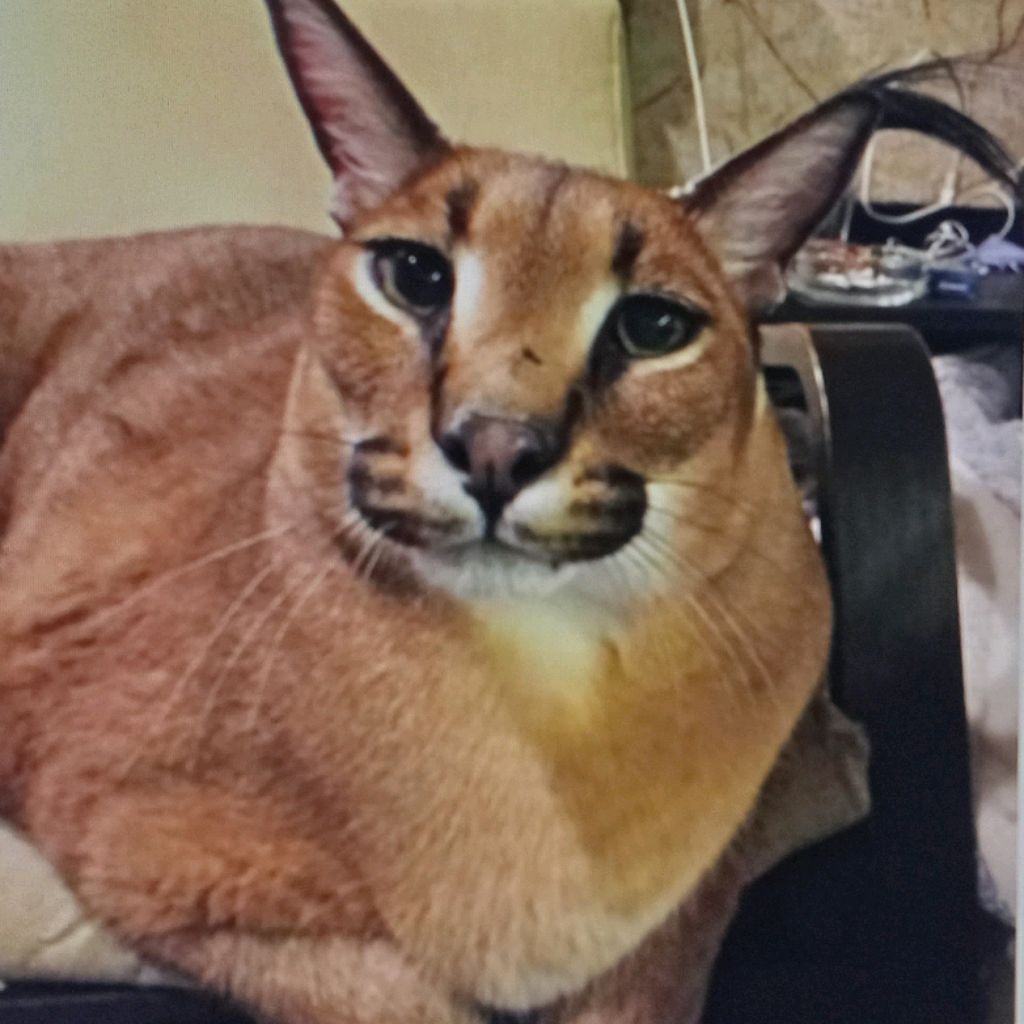 Иконка канала FLoPa STANDOFF 2 PABG