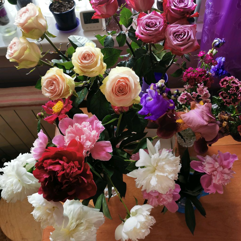 Иконка канала 🌺Просто СинТа🌺Про Цветочки🌺