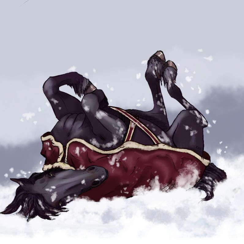 Иконка канала ●♡ Avantex~Studio ♡● (Horse Schleich)