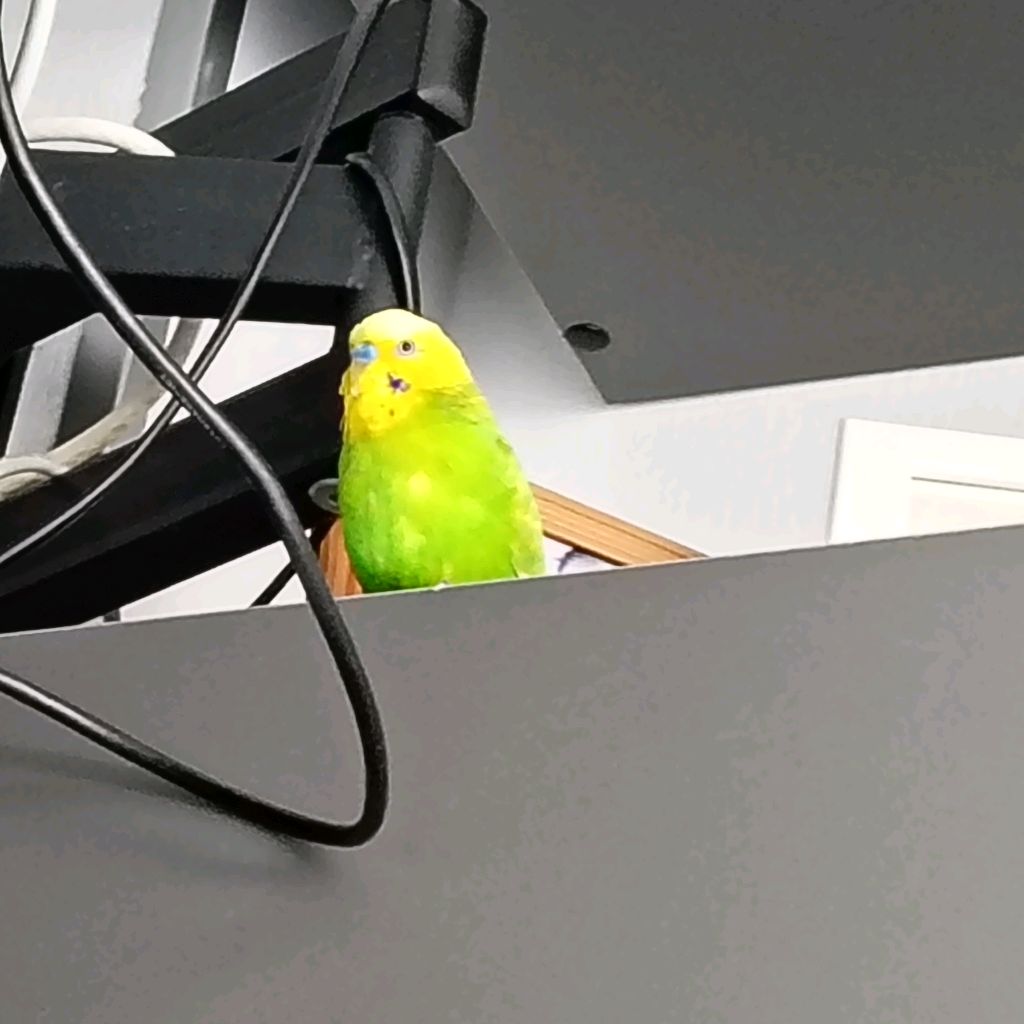 Иконка канала Iania2015