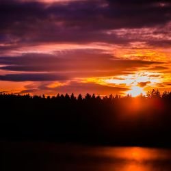 Иконка канала Николай Скил