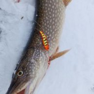 Иконка канала Fish Craft''86''