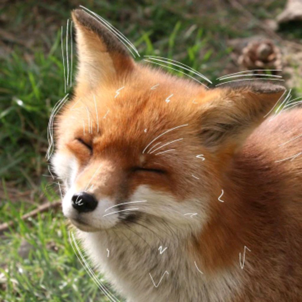 Иконка канала Лисёнок Ловик