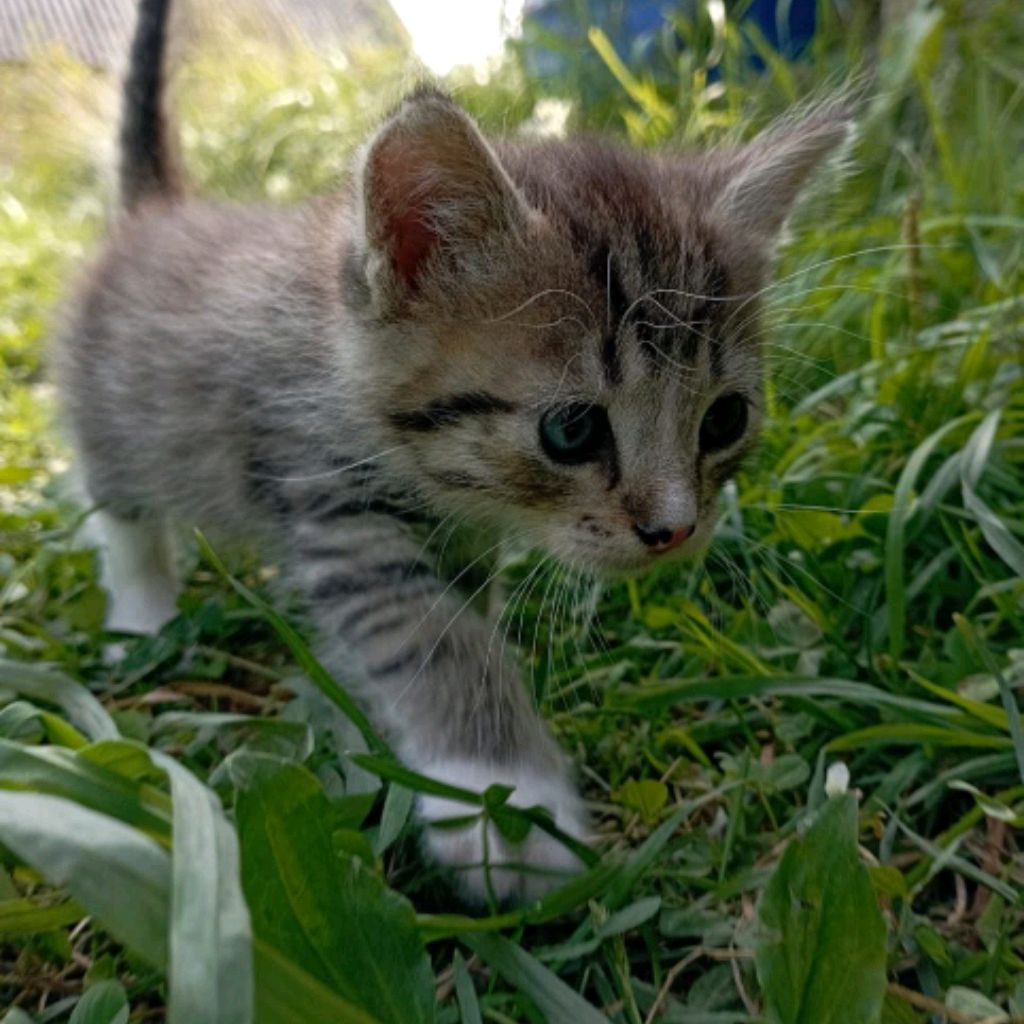 Иконка канала Тихон А52