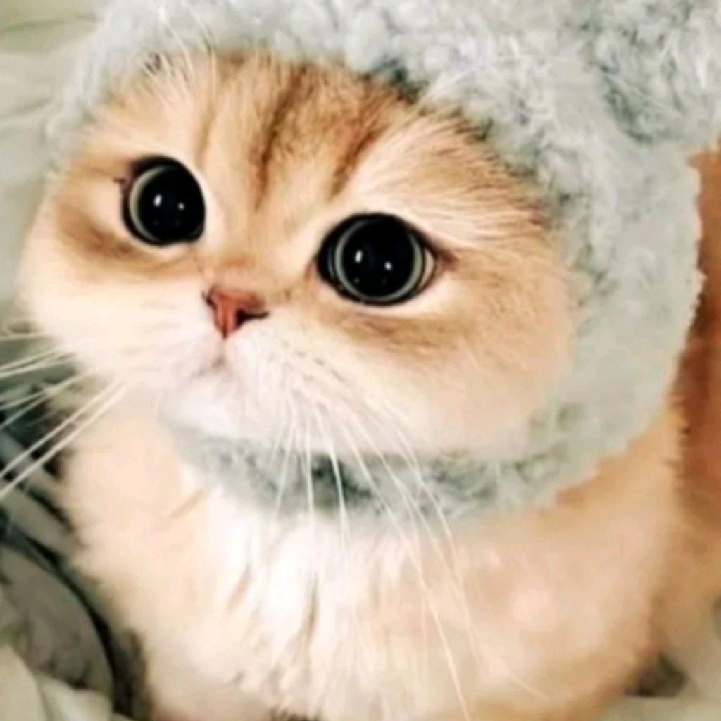 Иконка канала Моя Бумажная Коллекция 💗💖