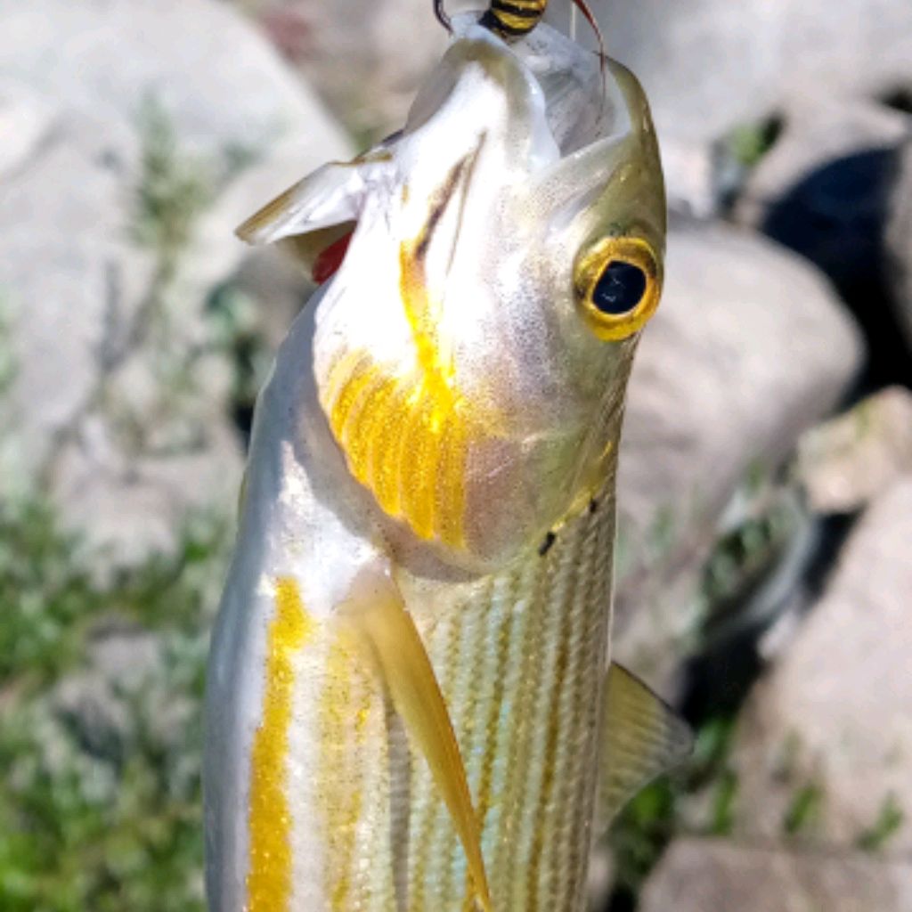 Иконка канала Рыбалка Зимой И Летом В Сибири